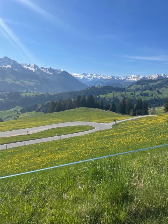 Jaunpass | 7.9 km Cycling Route on Strava