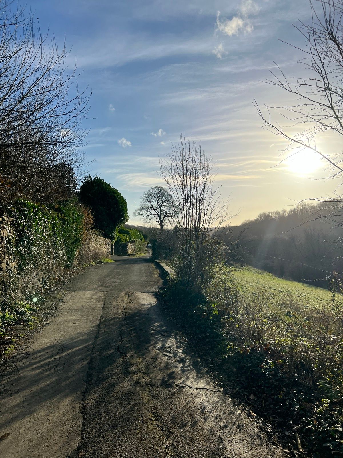 Rebecca Harrison-Stokes | Perfil de corredor de Strava