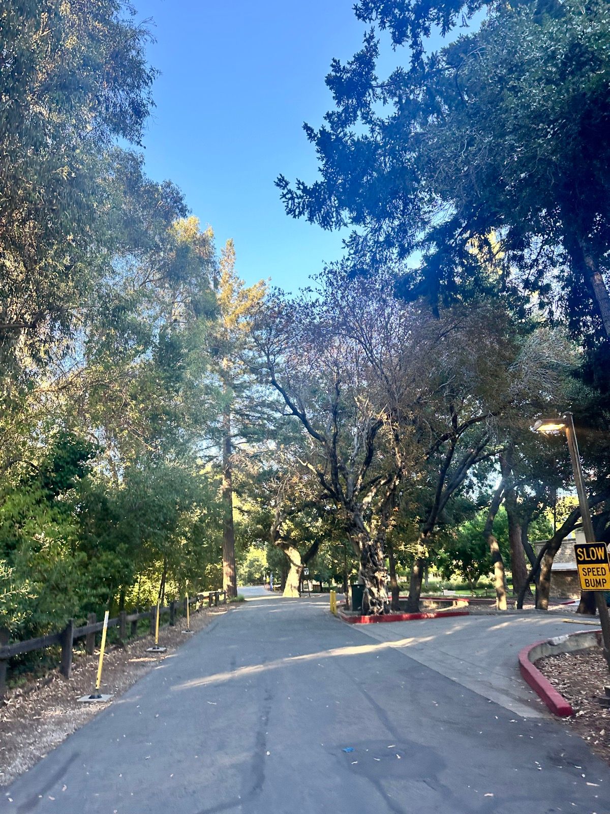 Libby Warren | Perfil de corredor de Strava