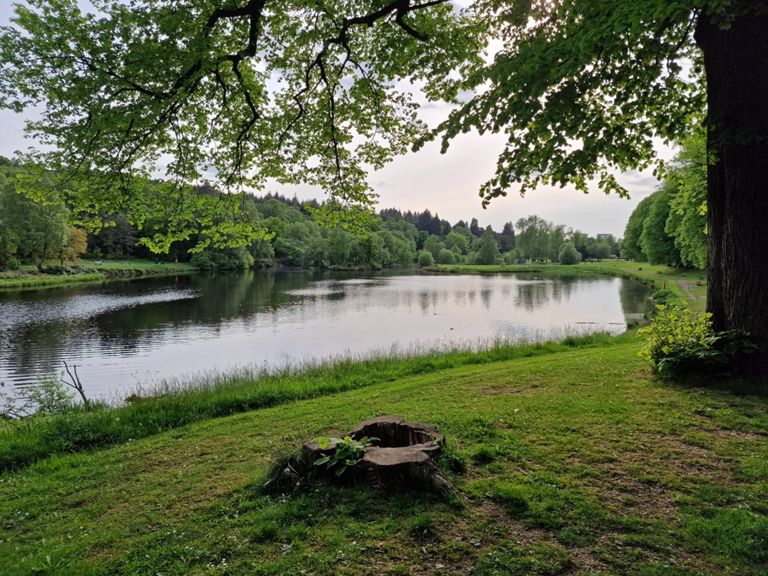 Falkirk Legal Walk | 5.1 km Trail Running Route on Strava