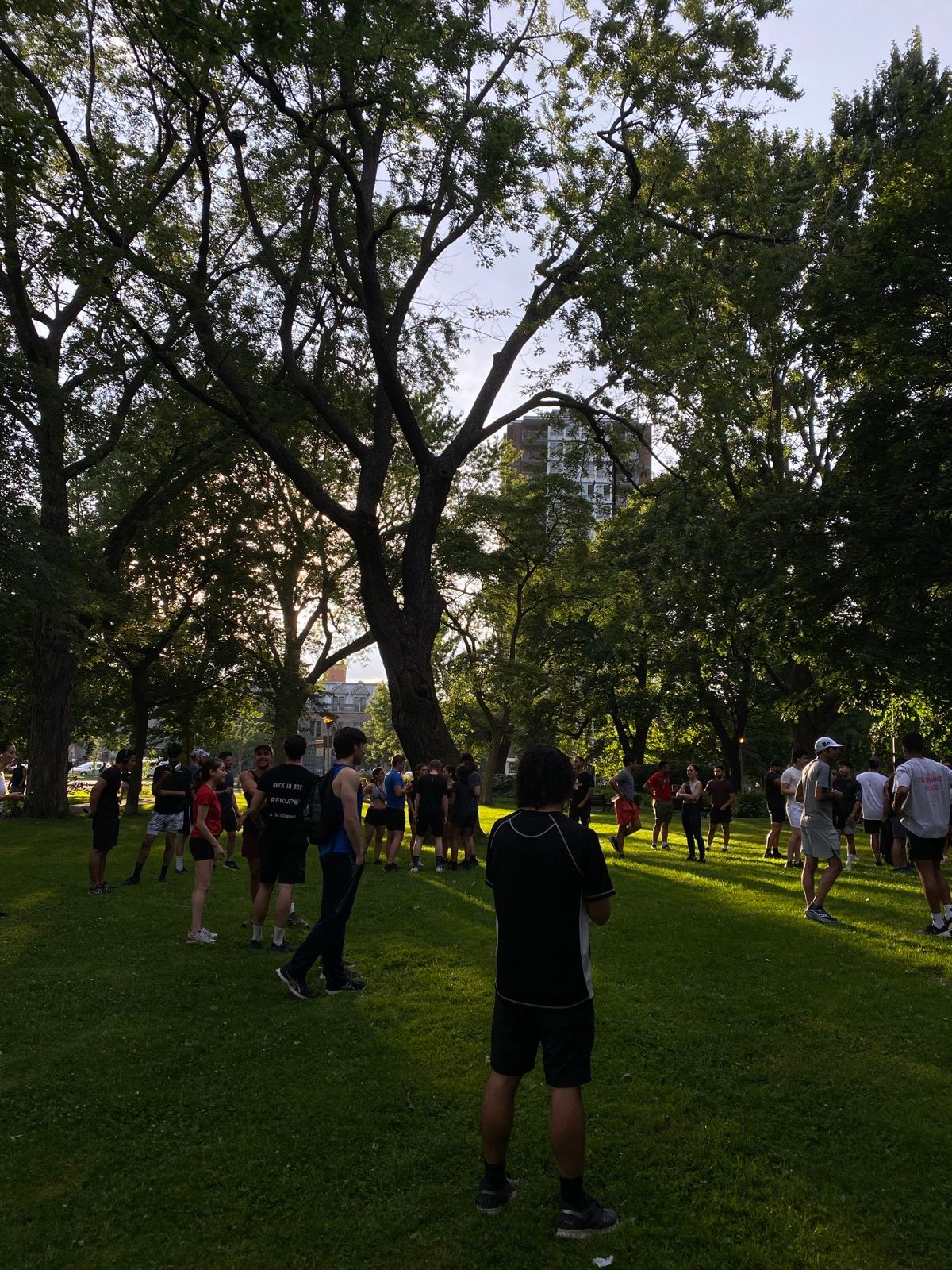 Marion Roberge | Strava Runner Profile