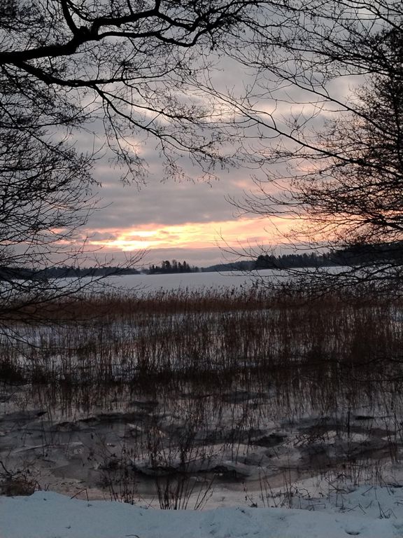 Sundsberg-Saunalahti 20 km | 20.4 km Running Route on Strava