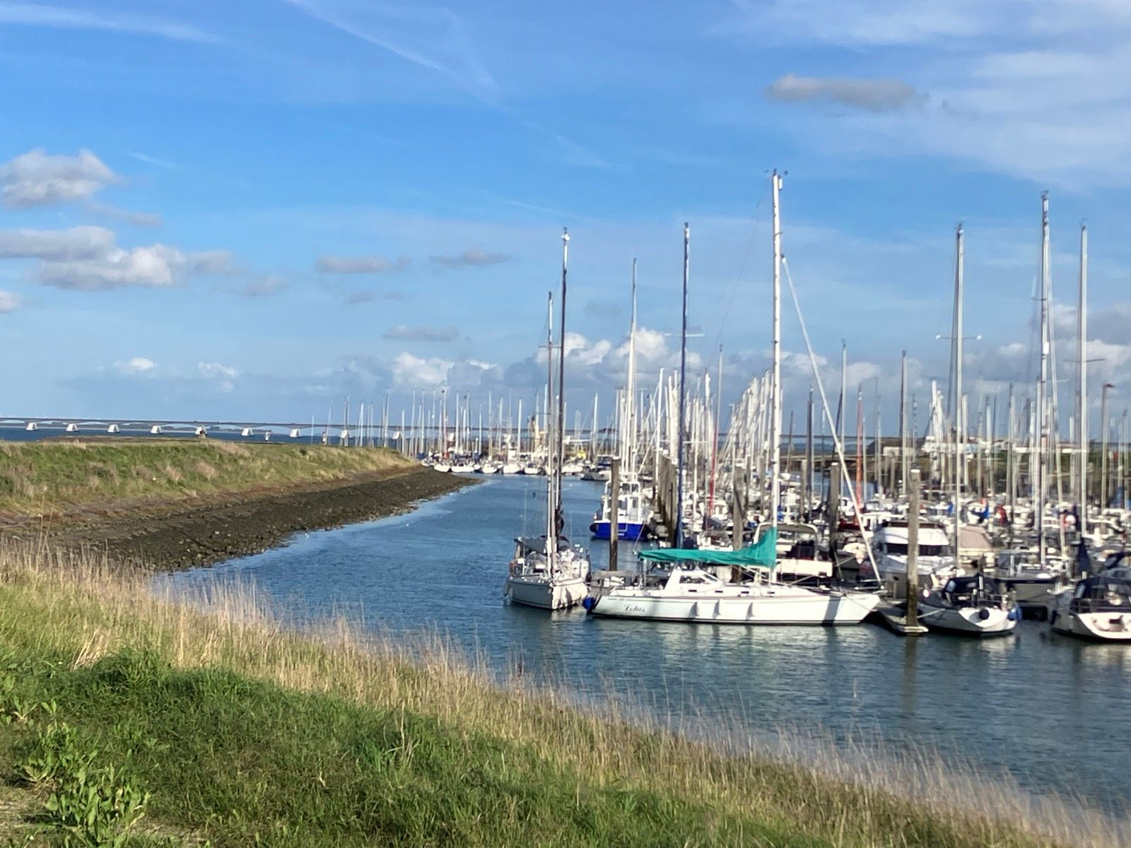 Angela Be | Strava Cyclist Profile