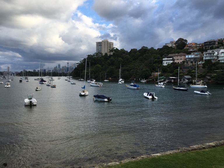 North Harbour run 23KM | 23.3 km Running Route on Strava