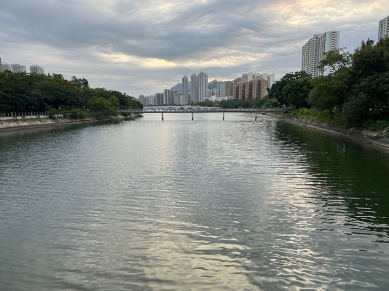 莲塘口岸-大美督-大埔-沙田-大围-返回大埔-上水-莲塘口岸 | 75.2 km Cycling Route on Strava