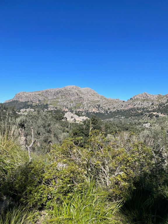 Colabra | 59.0 mi Cycling Route on Strava