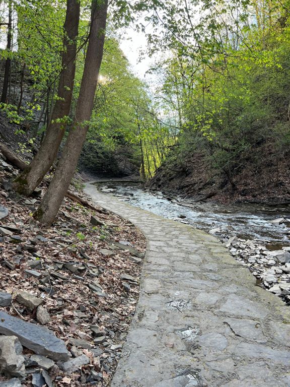 Mount Pleasant Road-Midline Road-Coddington Road | 32.8 mi Cycling ...