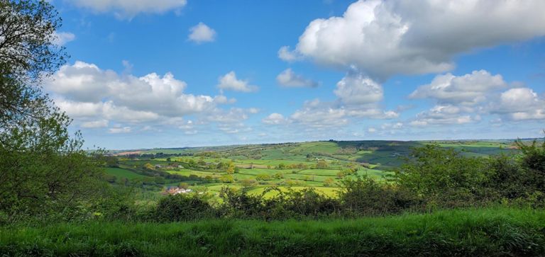 Exeter - Cadbury | 47.1 km Cycling Route on Strava