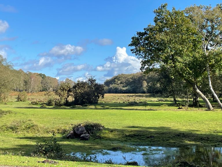 NF2 | 104.7 km Cycling Route on Strava