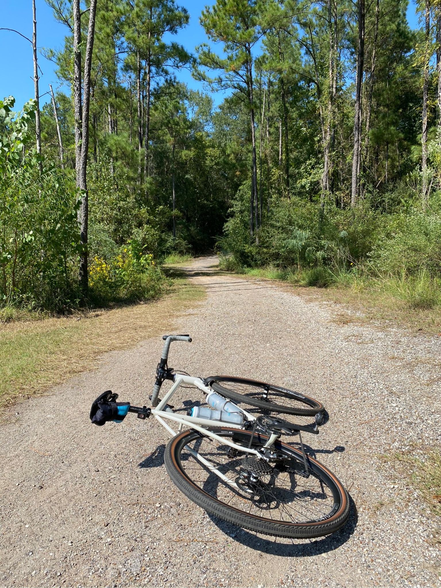 Texas Biking Action October 10th 2020 – Texbiker.net