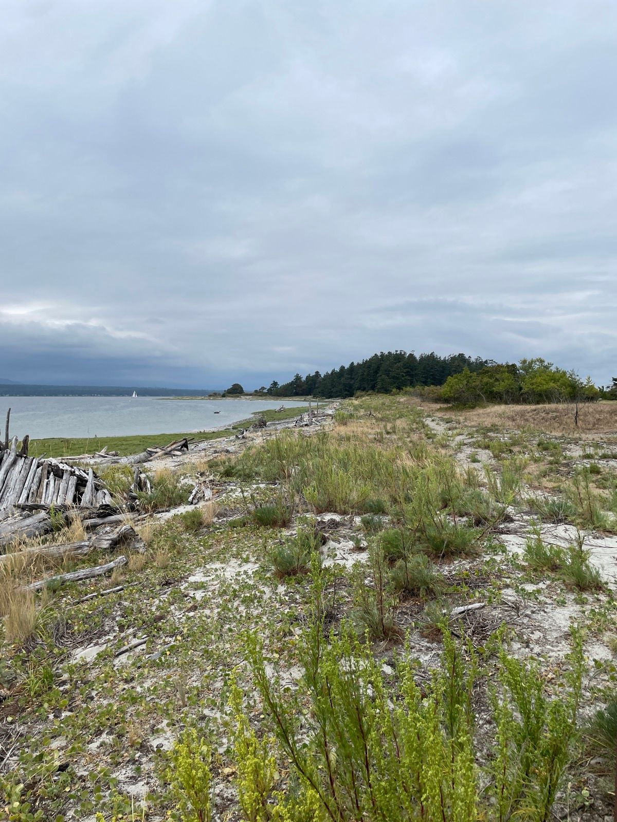 Kevin Angers | Strava Runner Profile