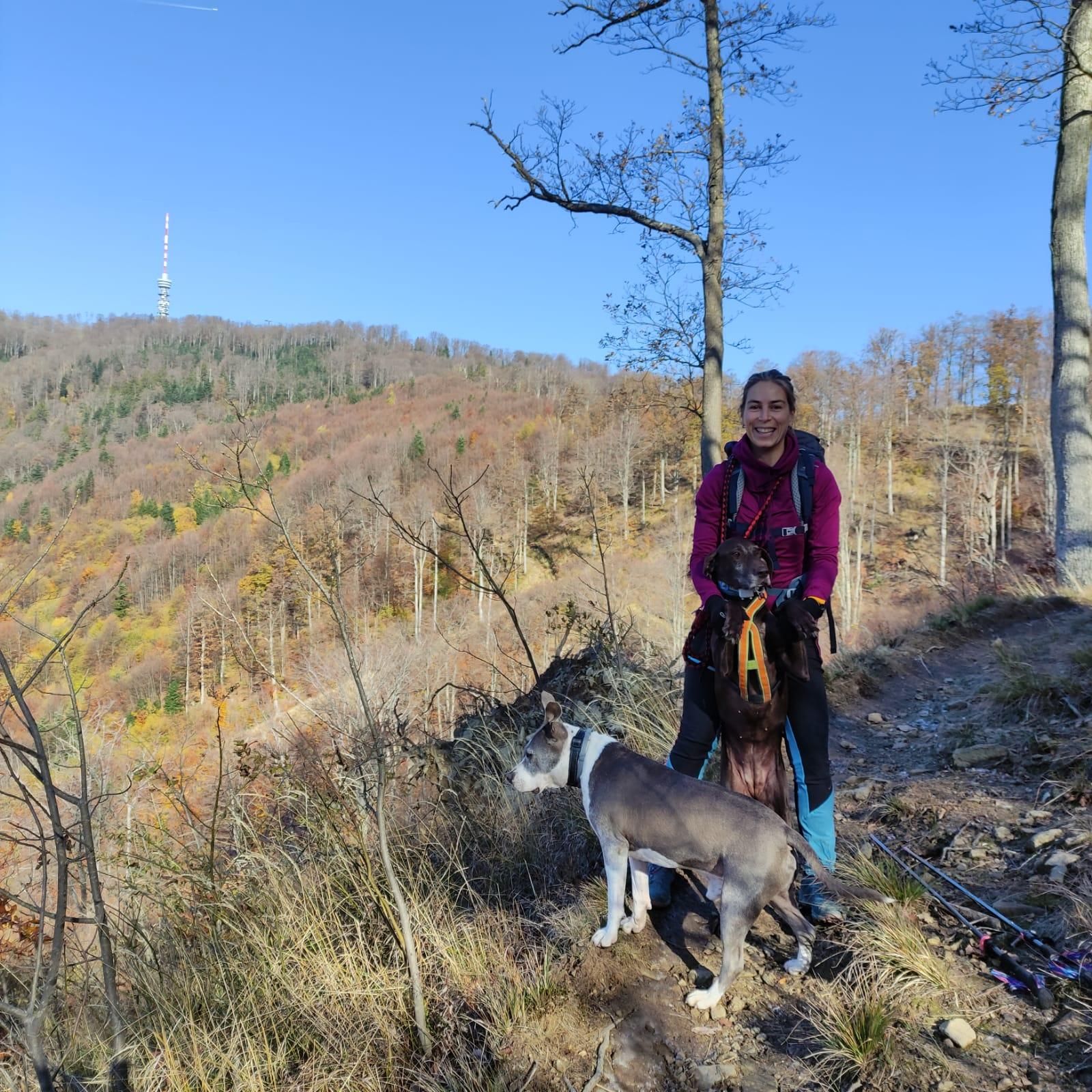 Mirna Grubisic 🐕Trail Hunter | Strava Runner Profile