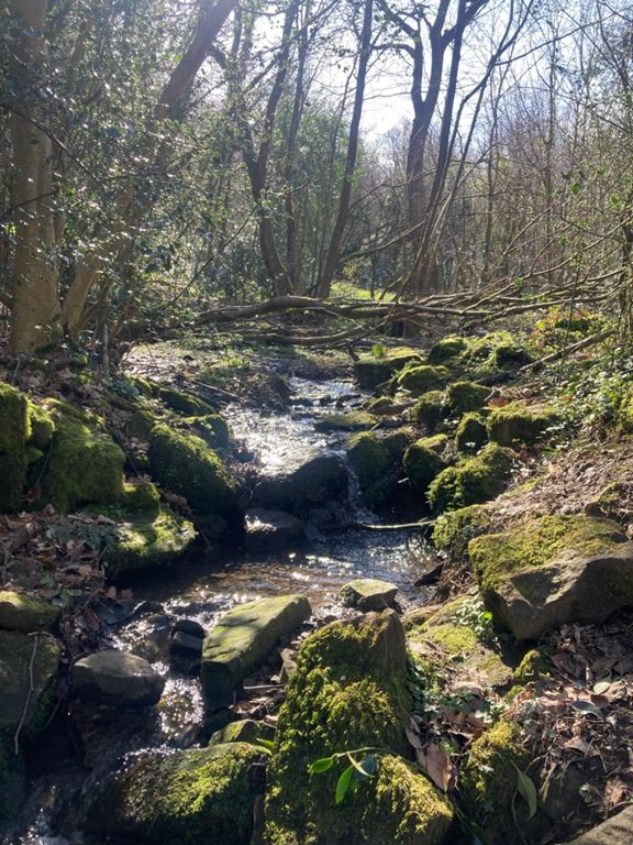 Loxley Valley | 12.8 km Running Route on Strava