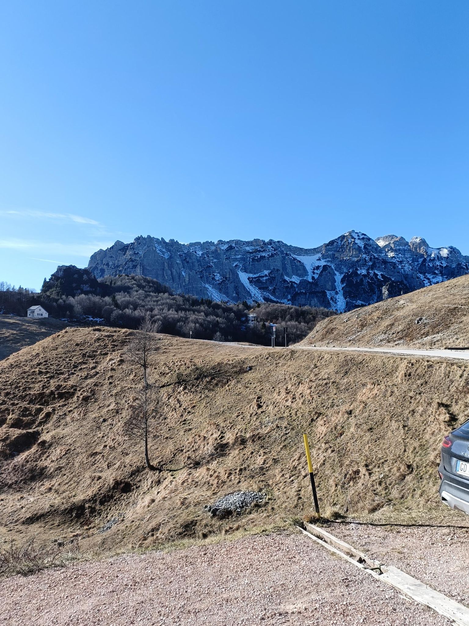 Laura Bertoldi | Strava Cyclist Profile