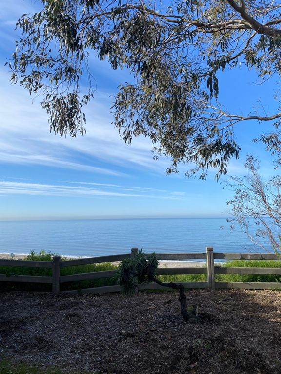Malibu Canyon Cornell Loop | 76.3 km Cycling Route on Strava