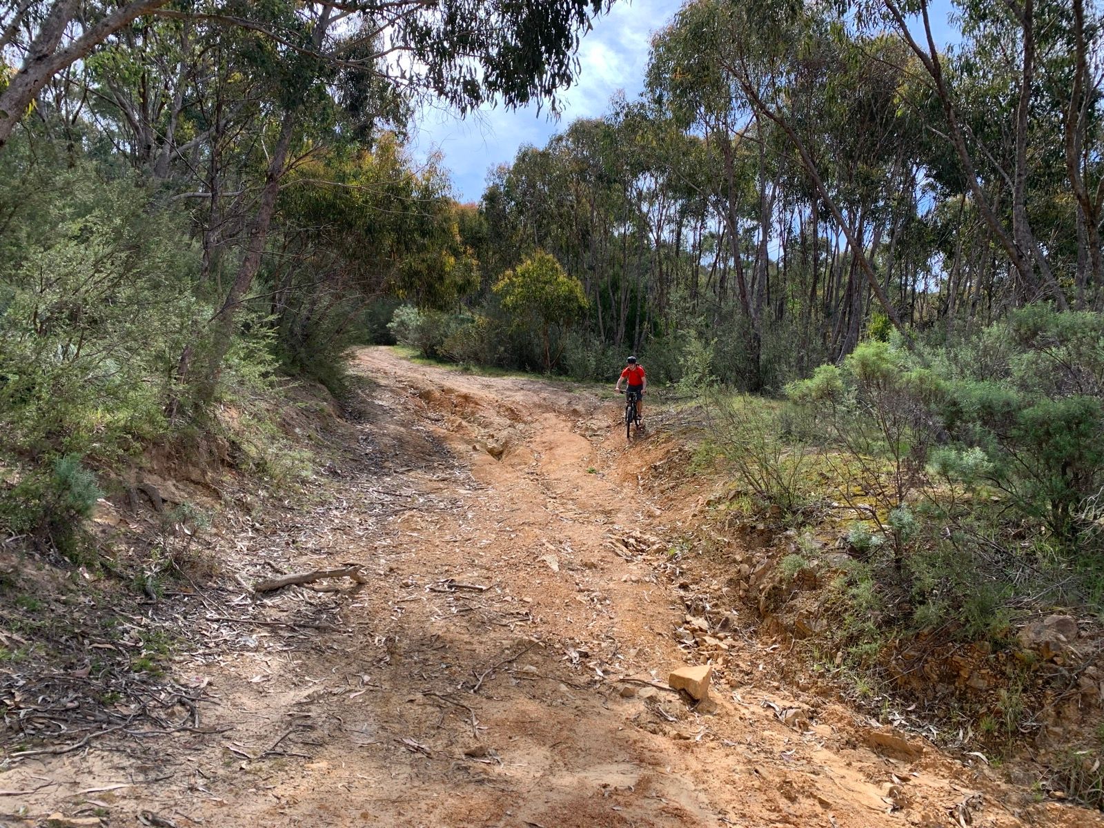 Sam O'Shea | Strava Cyclist Profile