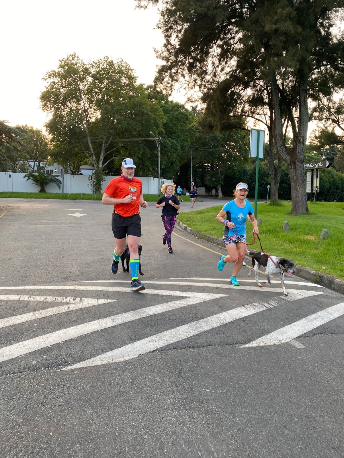 10.4 km Run Activity on February 9, 2021 by Paul T on Strava