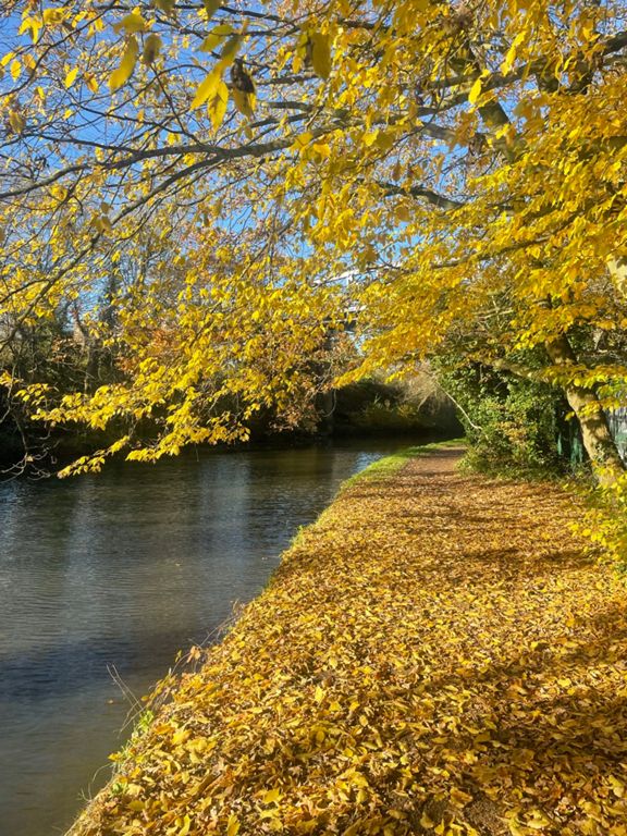 Boston Manor and Orchard Trail | 9.6 km Running Route on Strava