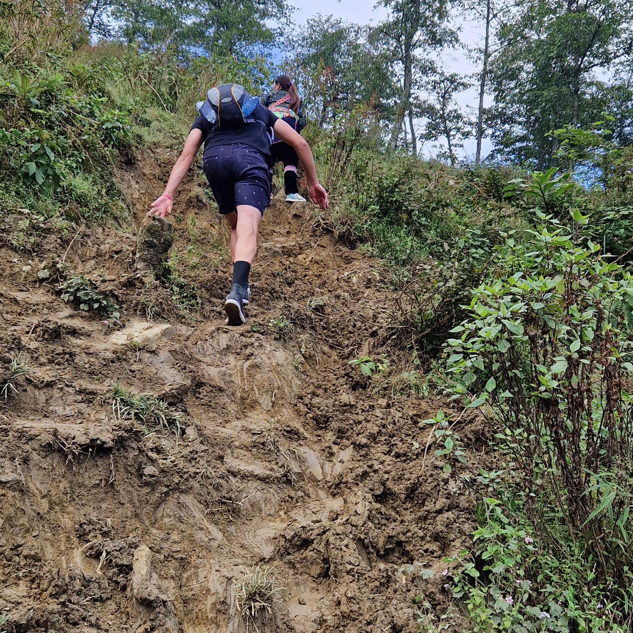 Gerwin de Boer | Strava Runner Profile