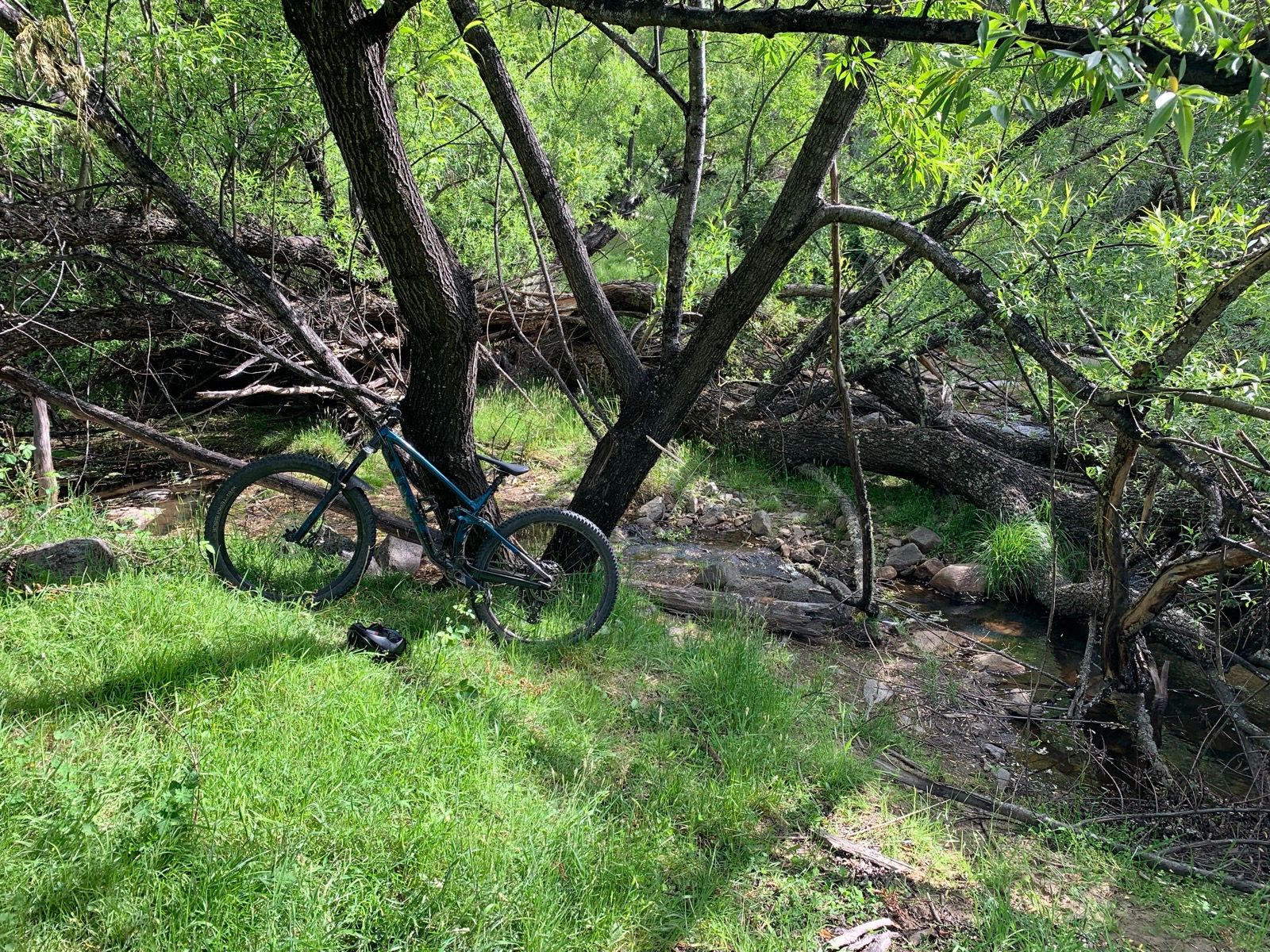 Sam O'Shea | Strava Cyclist Profile