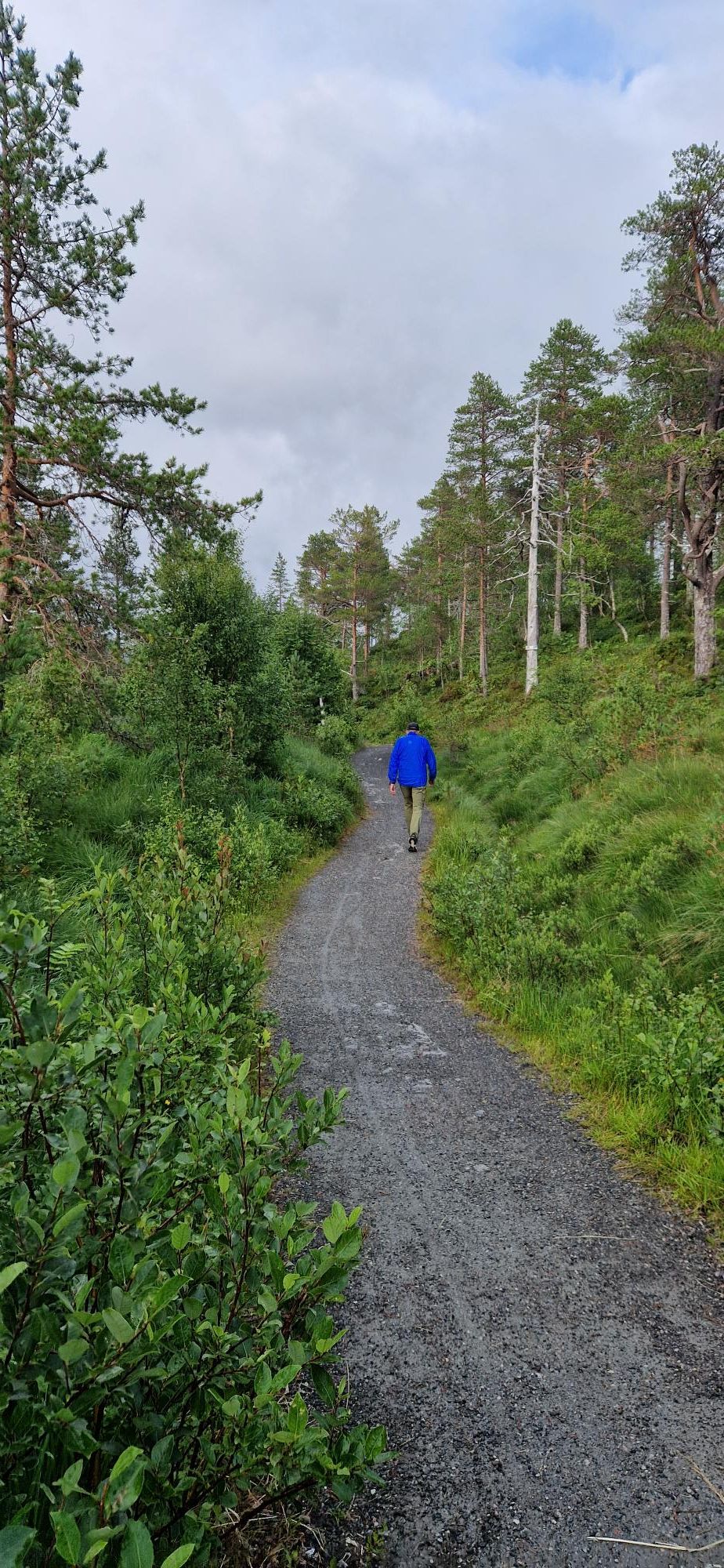Mary Ulfsnes | Strava 自行車手的個人檔案