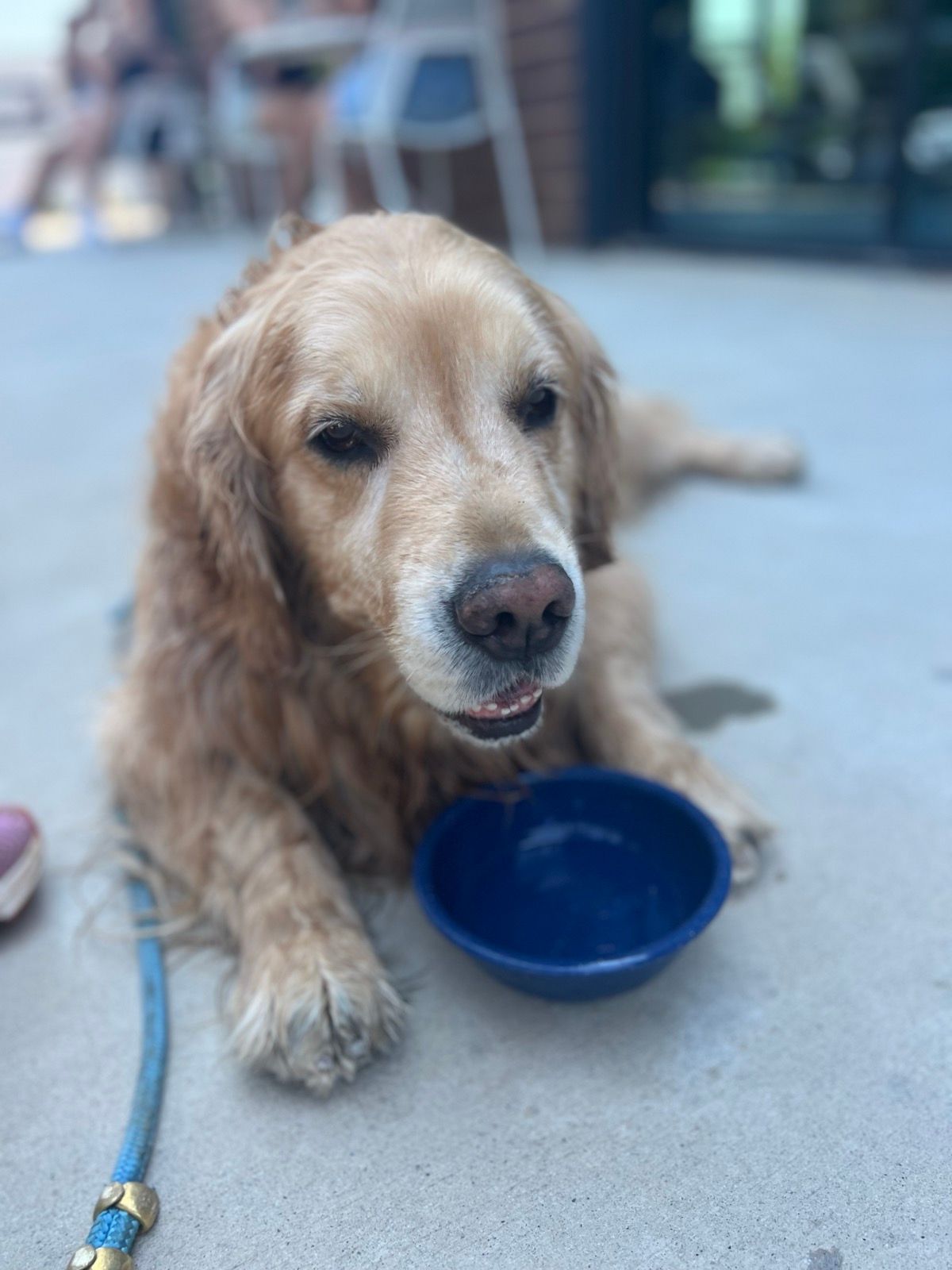 Heather Hagan | Strava Runner Profile