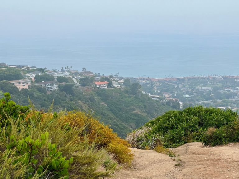 Mt Soledad 12 Mile Round Trip | 6.0 mi Cycling Route on Strava