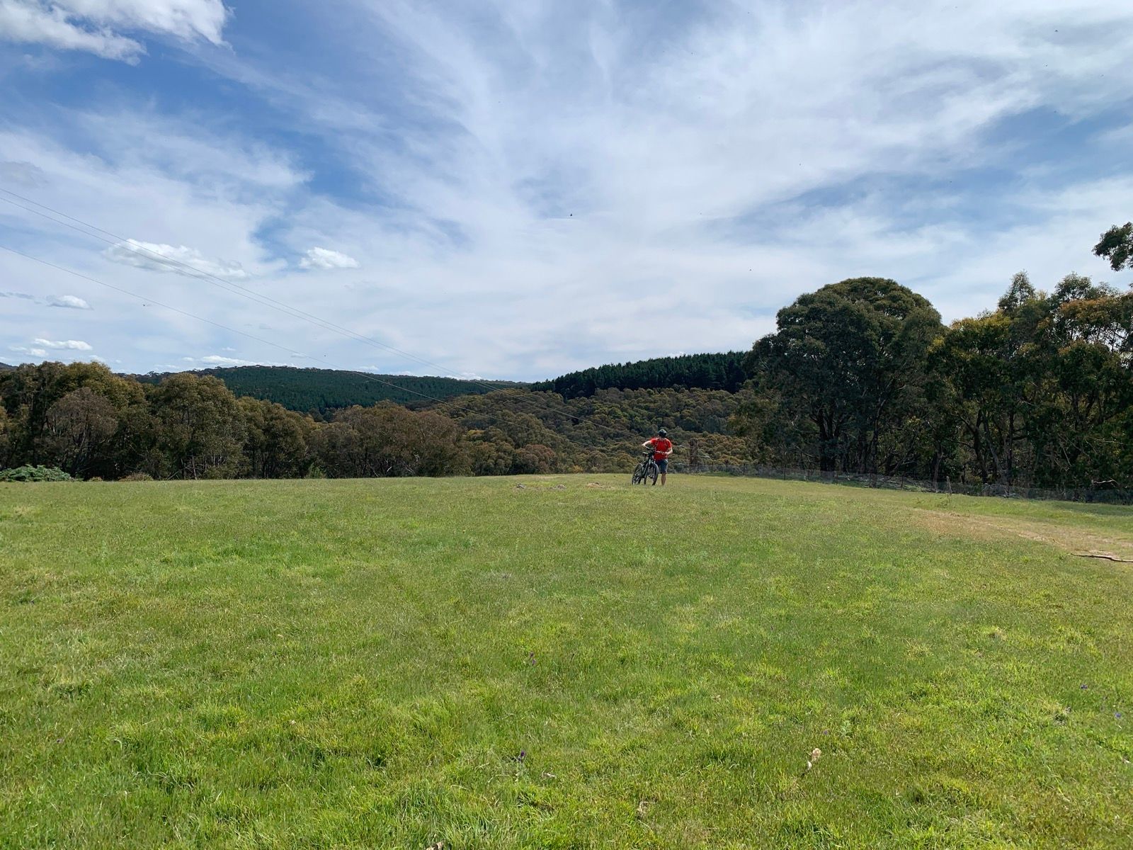 Sam O'Shea | Strava Cyclist Profile