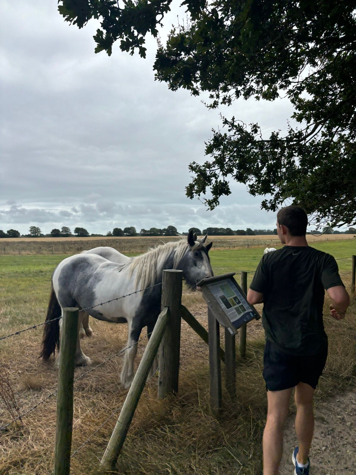 Millie Moss | Strava Runner Profile