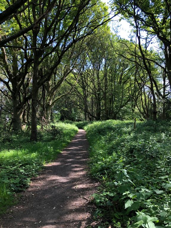 Chingford & Epping Forest Road Route | 27.7 mi Cycling Route on Strava