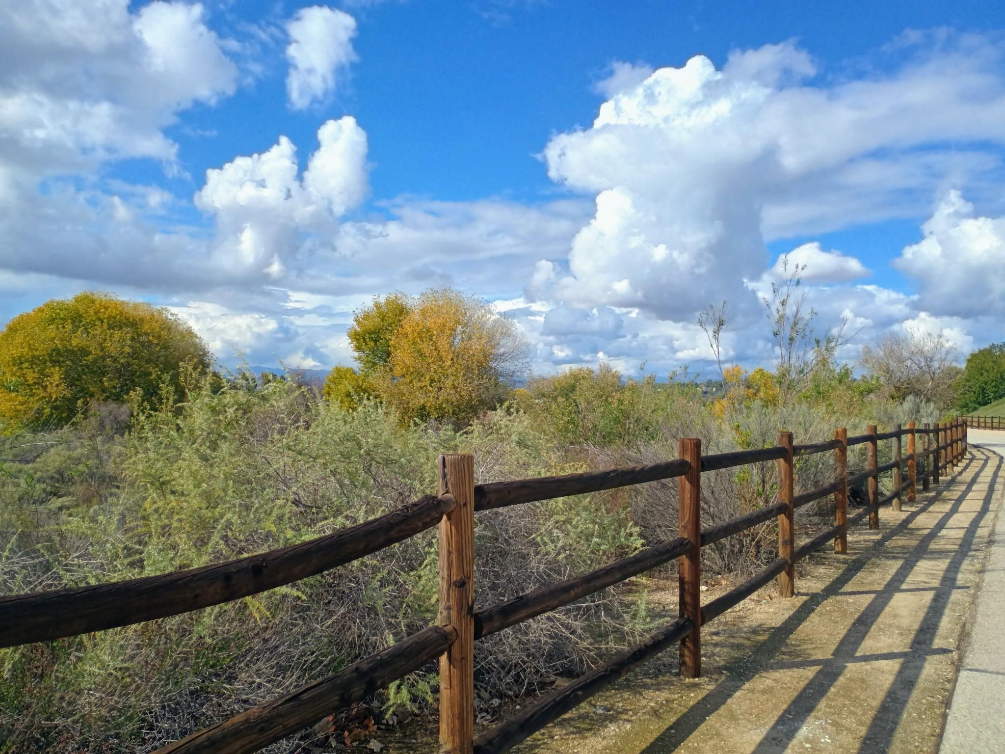 Addiction 2025.4 - Page 75 - Bike Forums