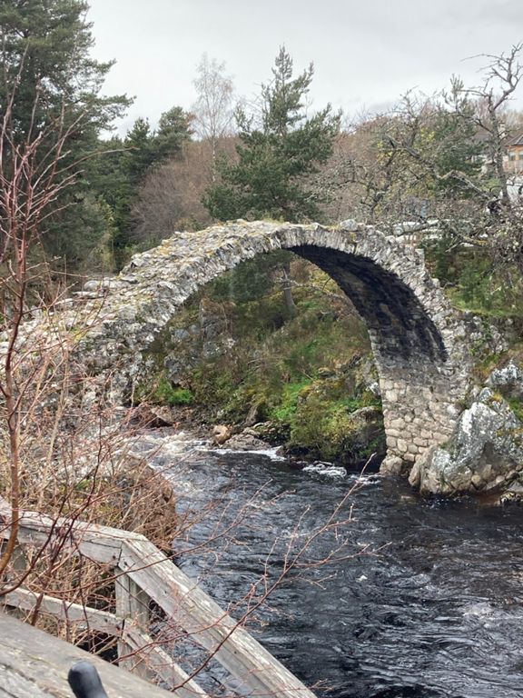 Turra Coo Audax | 311.8 km Cycling Route on Strava