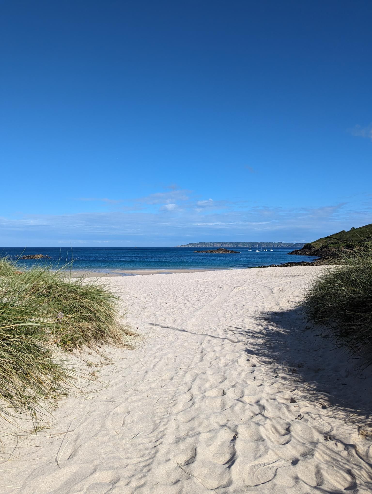 Tom Forgan | Strava 跑者的個人檔案