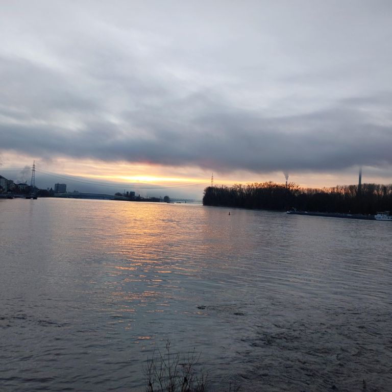 To the Rhein for M Pacing, 24km total | 16.8 km Running Route on Strava