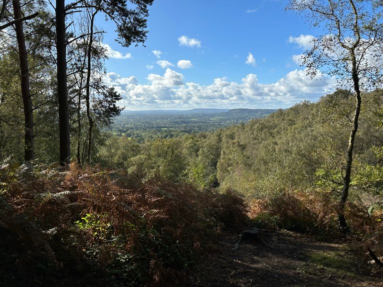 Peaslake Epic MTB | 37.1 km Mountain Biking Trail on Strava