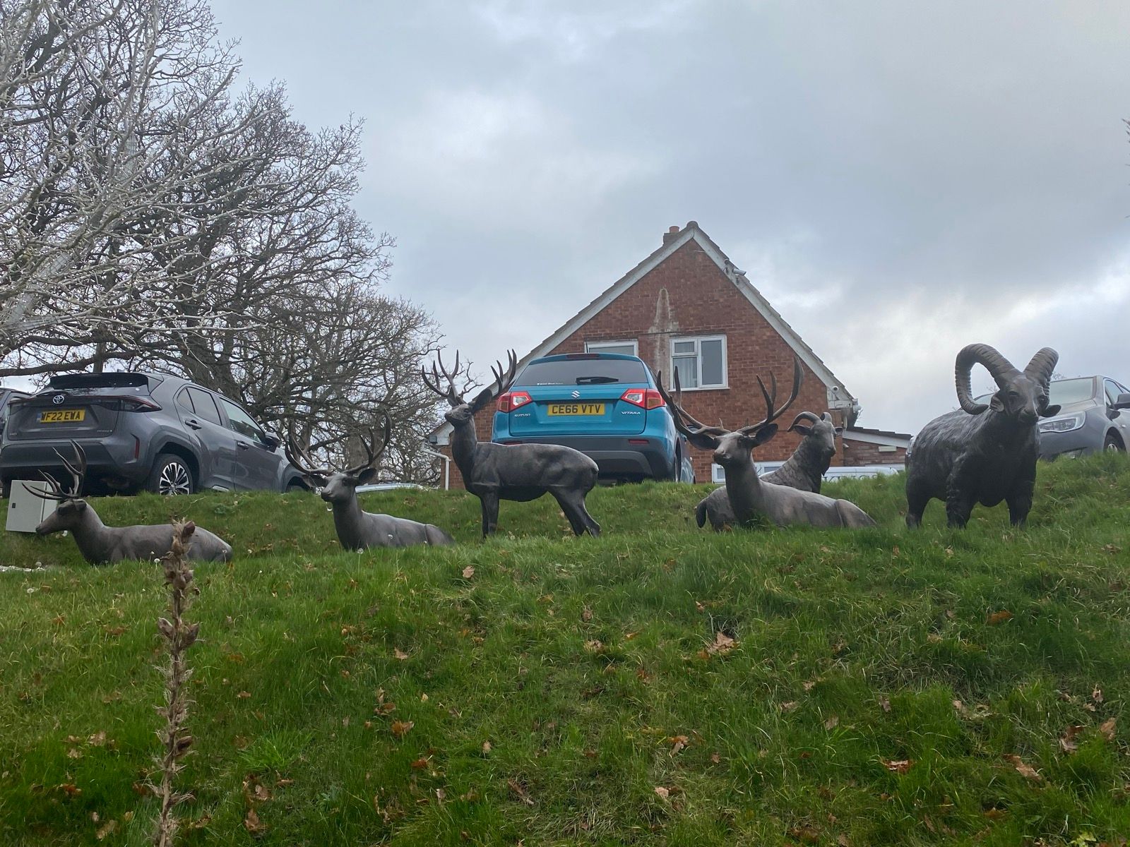 Lyn Pike | Strava Cyclist Profile