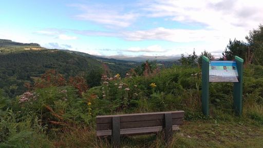 Crynant Forest Walk | Strava