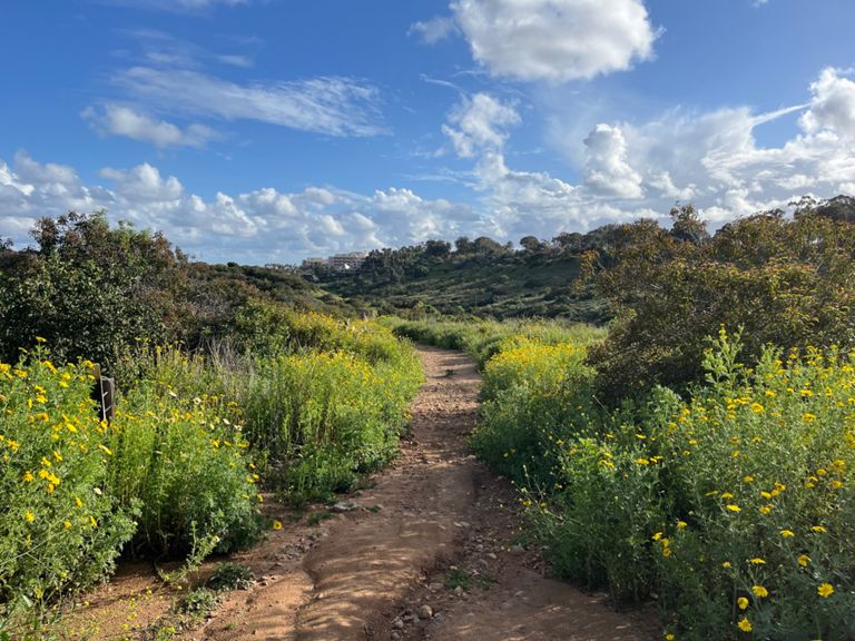 The Kevin Loop V2 | 3.7 mi Cycling Route on Strava