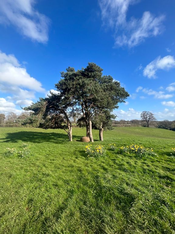 Leap Valley 5 miles | 5.1 mi Walking Route on Strava