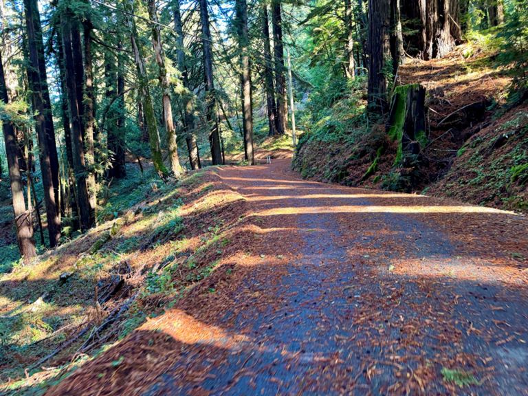 OLH and W Alpine | 44.1 mi Cycling Route on Strava