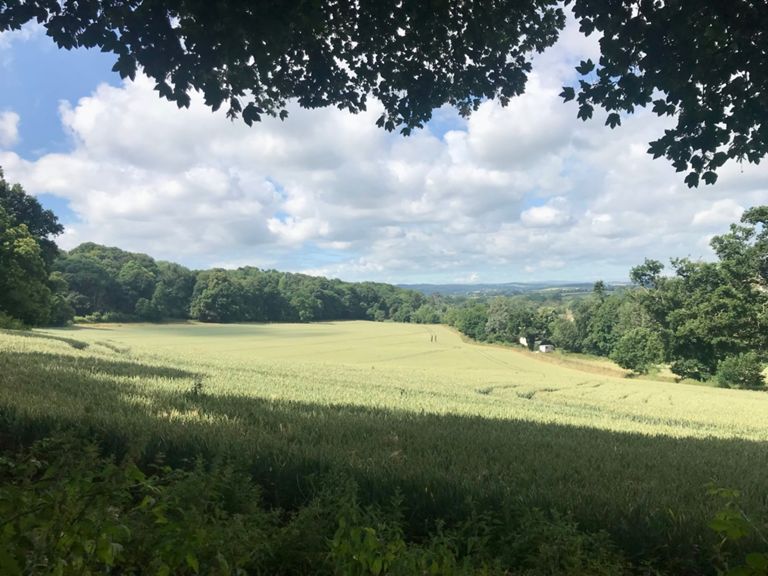 Exeter loop (Gravel style) | 33.6 mi Cycling Route on Strava