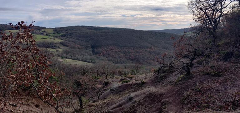 38 via terres rouge | 39.7 km Running Route on Strava