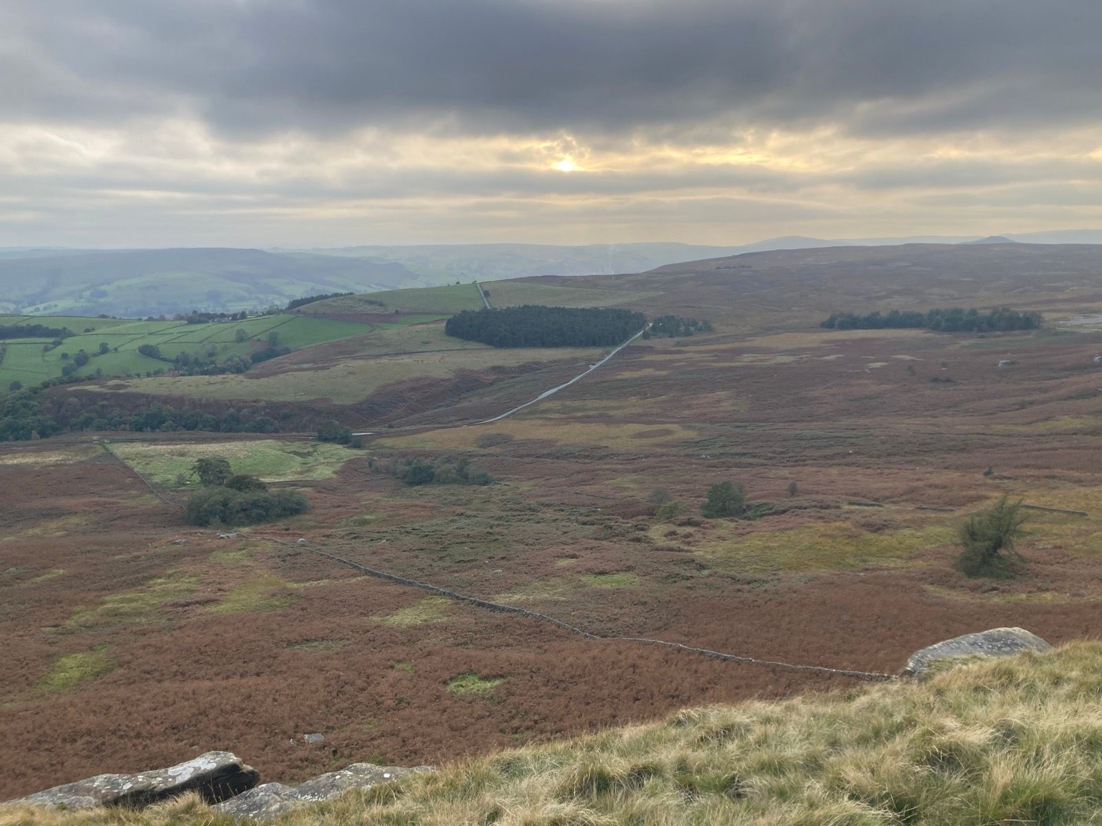 Euan Brown | Strava Runner Profile