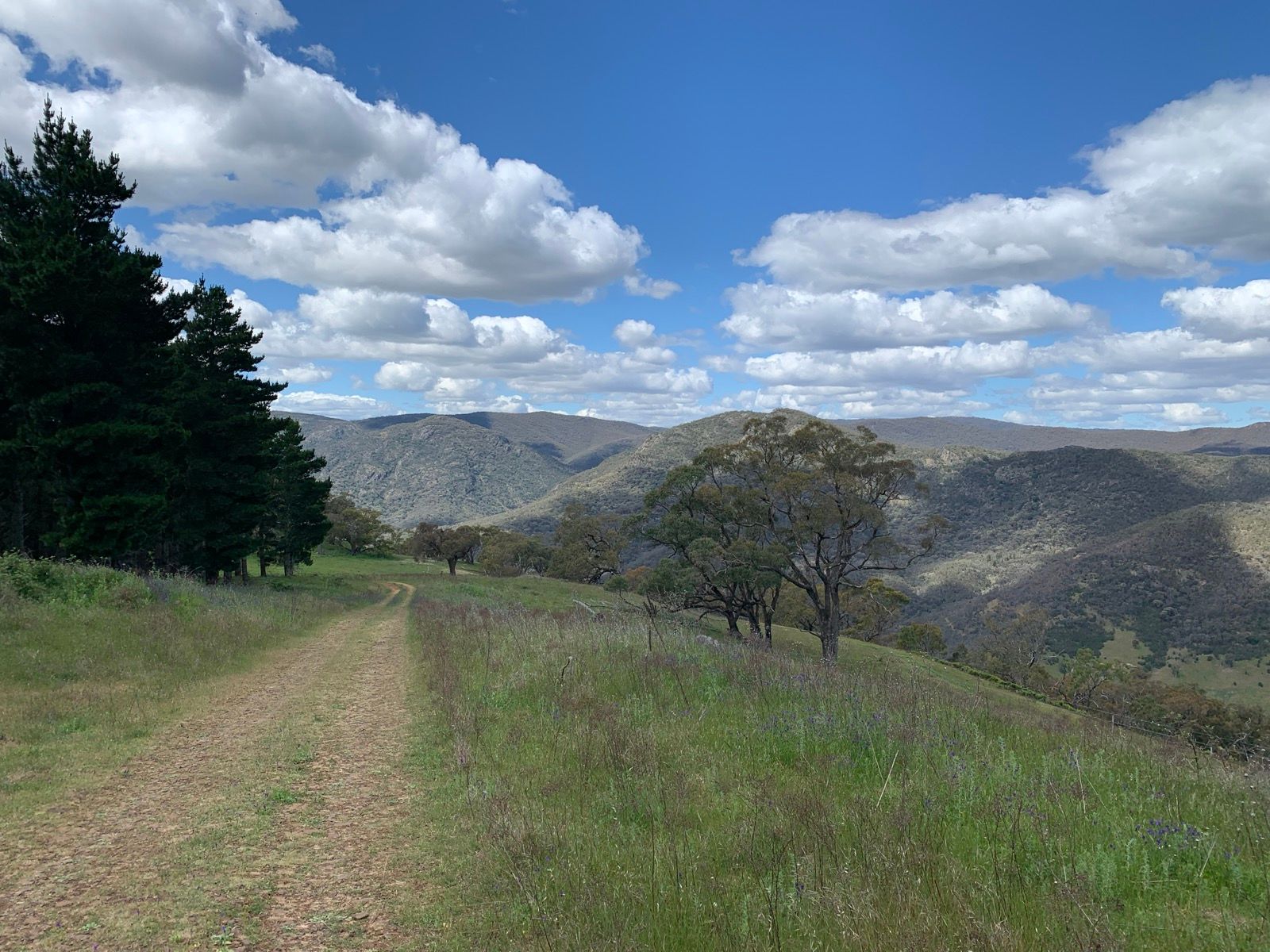 Sam O'Shea | Strava Cyclist Profile