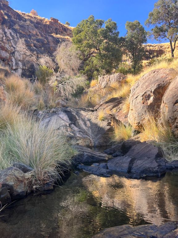 Transcend Runners Route - 65km | 64.8 km Trail Running Route on Strava