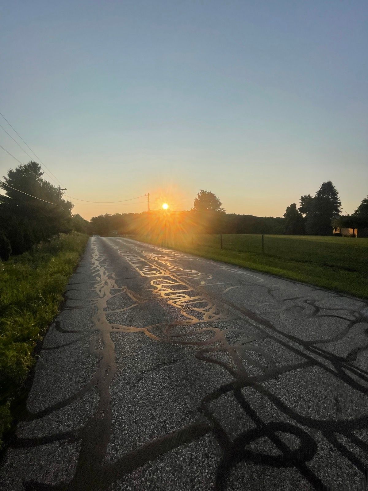 Sophie Trowbridge | Strava Runner Profile