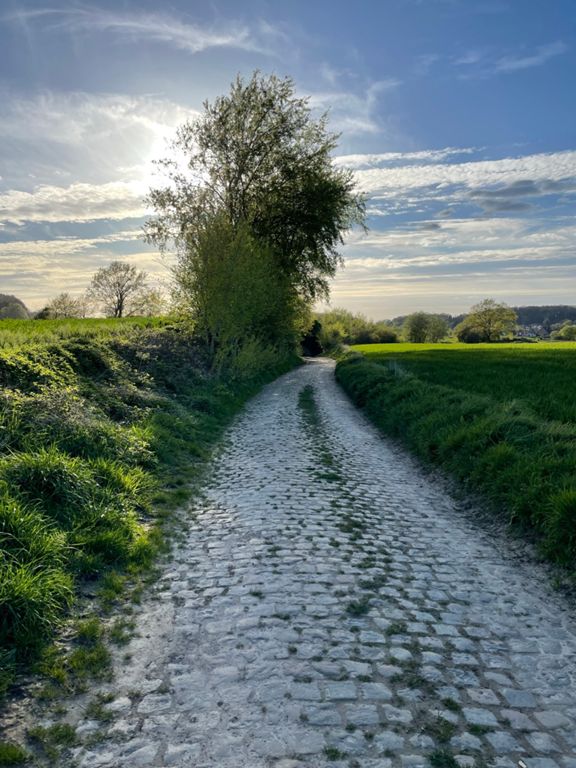 Vossem | 82.8 km Cycling Route on Strava