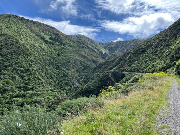 Wellington, South Coast, Palliser, White Rock, Martinborough, Rail ...