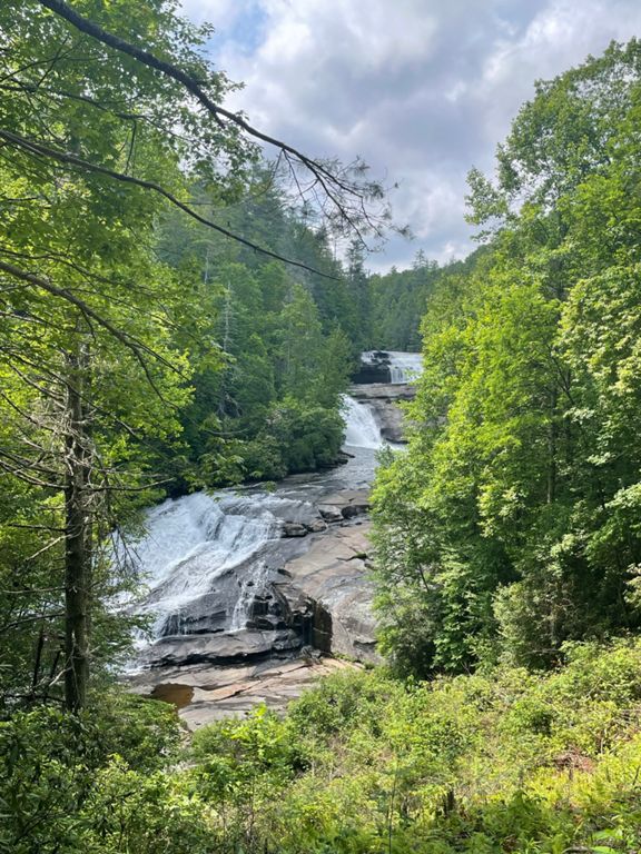 Connestee-Dupont-Williamson Loop | 35.6 mi Cycling Route on Strava