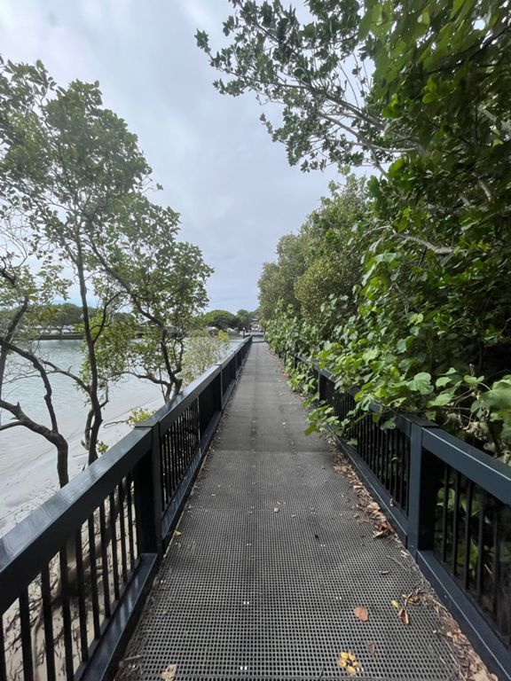 Hogans Road-Dulguigan Road-McAuleys Road | 50.2 km Cycling Route on Strava